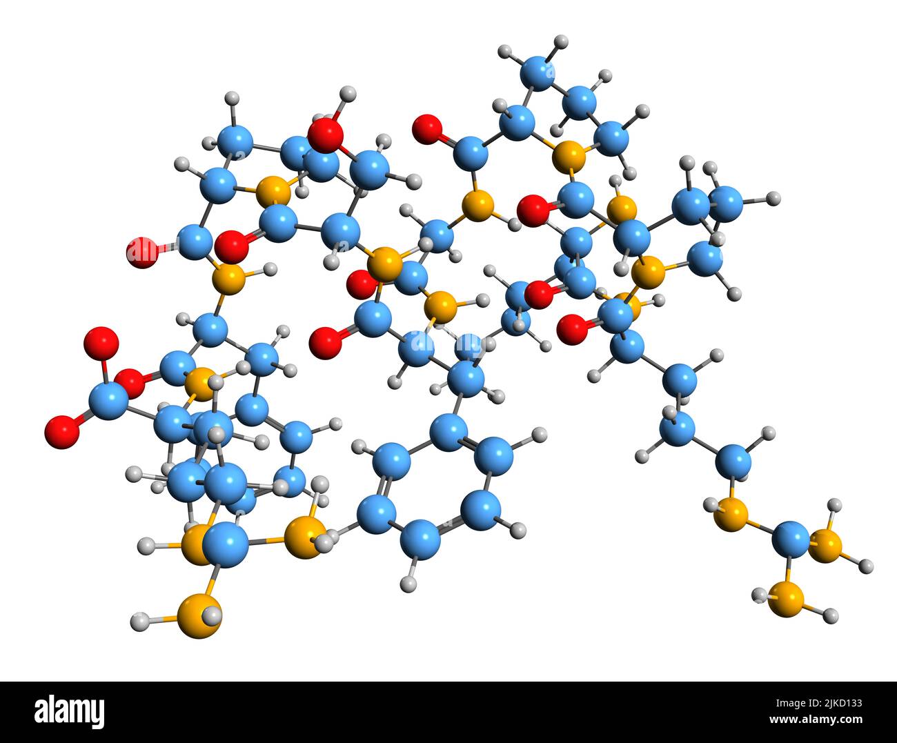 3D image of Kallidin skeletal formula - molecular chemical structure of ...