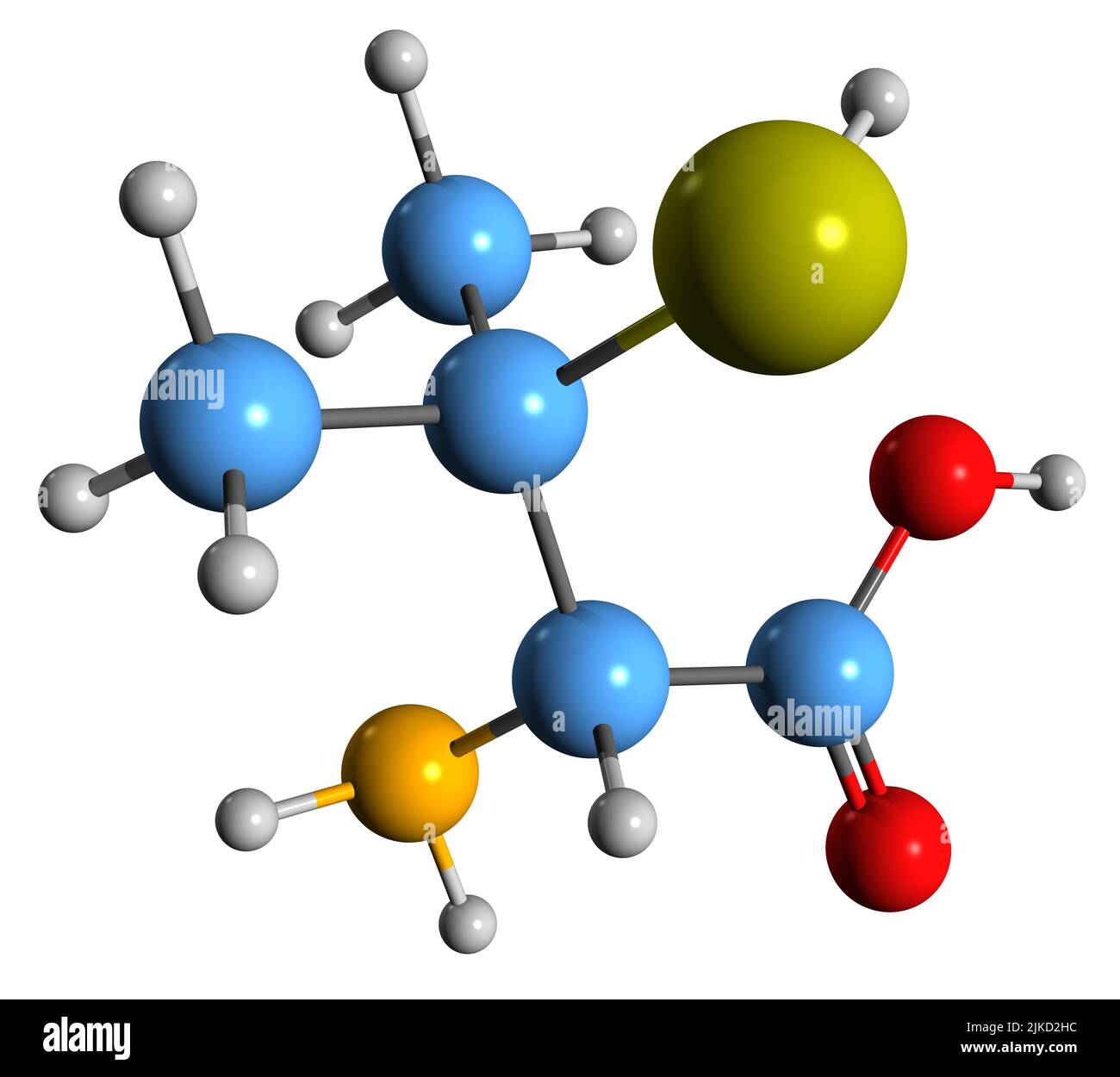 3D image of Penicillamine skeletal formula - molecular chemical ...
