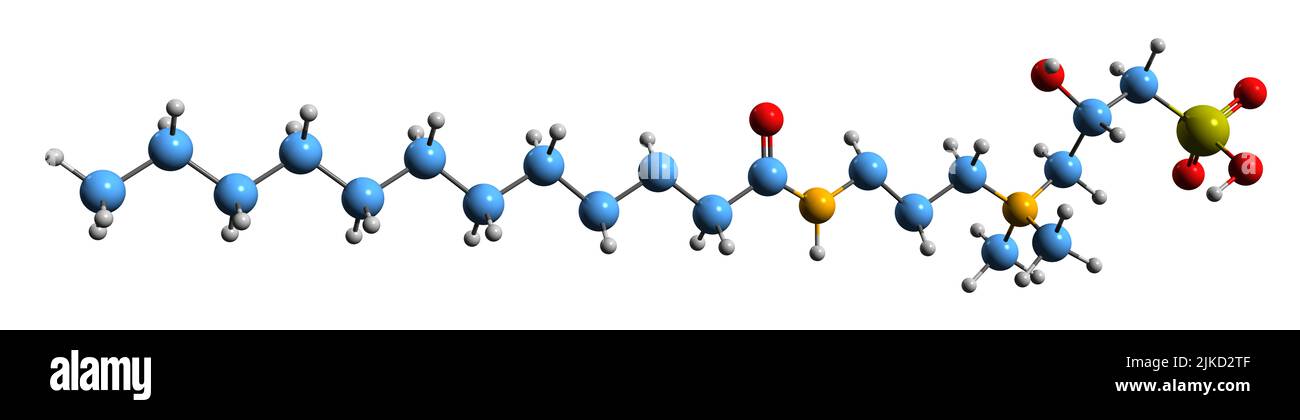 3D image of Lauramidopropyl hydroxysultaine skeletal formula ...