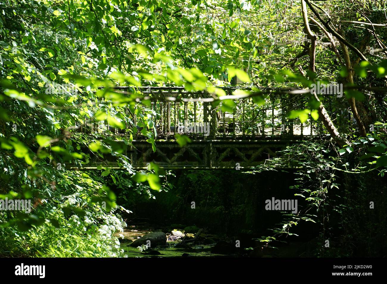 A metal bridge under trees with branches of green leaves Stock Photo ...