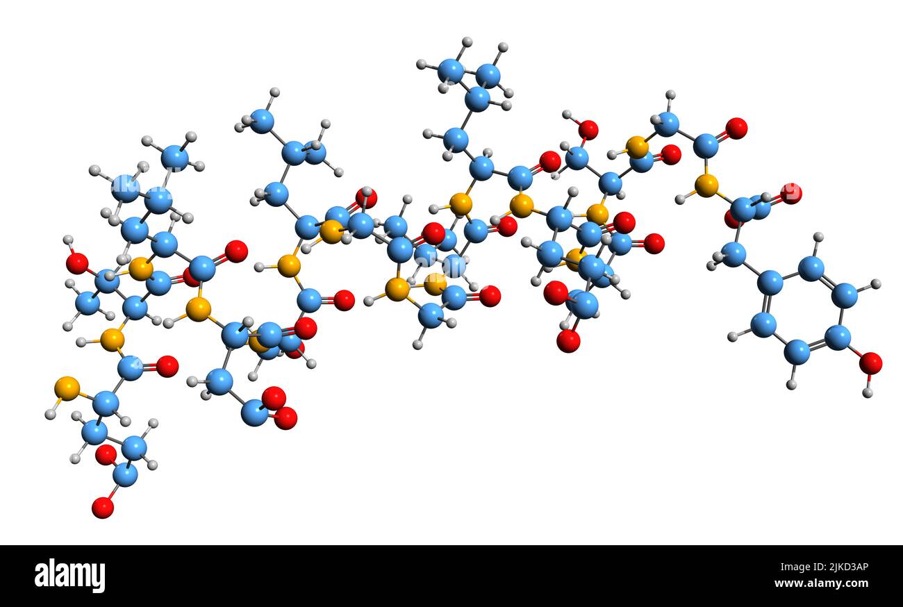 3D image of Leptin skeletal formula - molecular chemical structure of ...