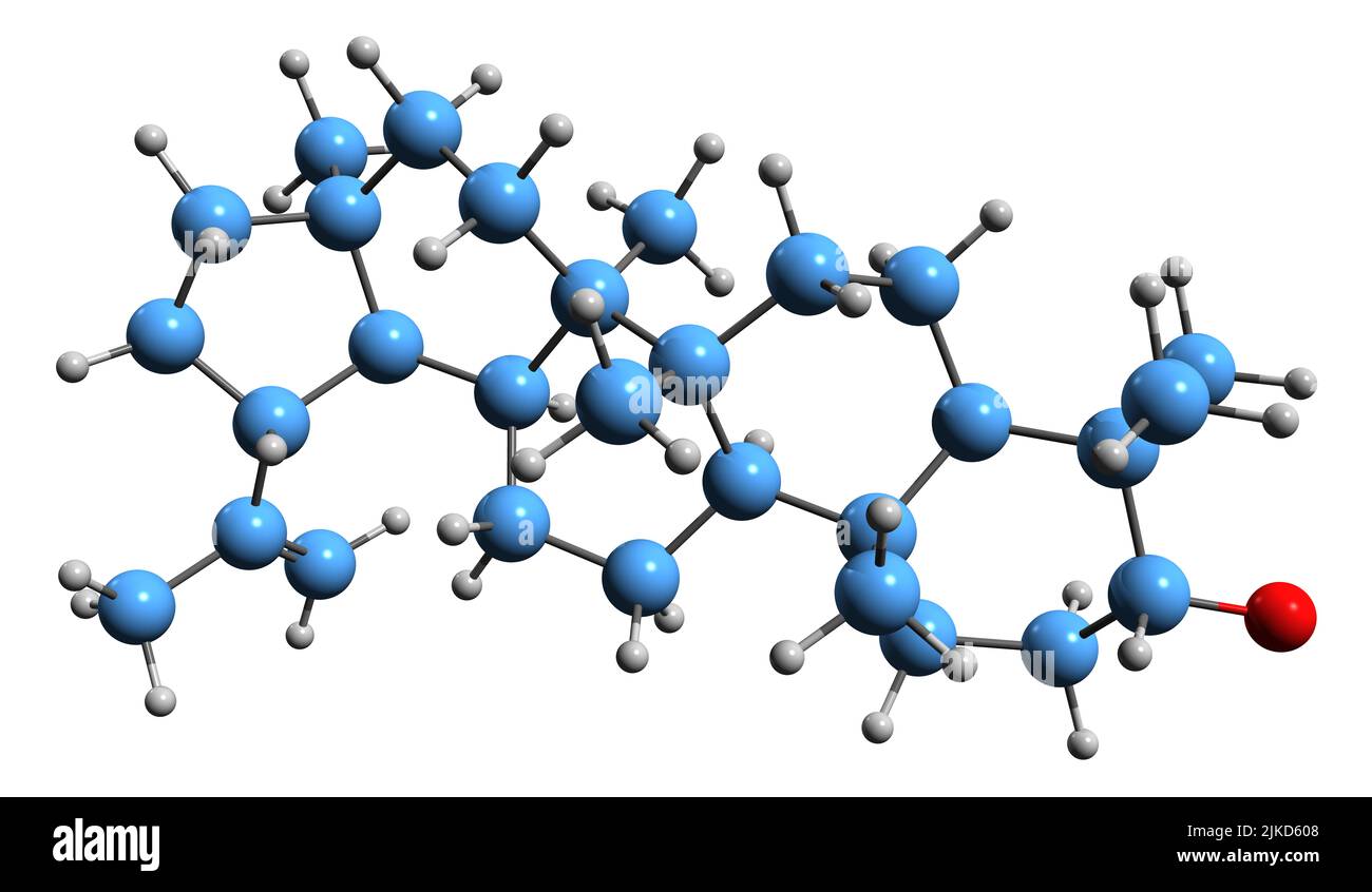 3D image of lupeol skeletal formula - molecular chemical structure of ...