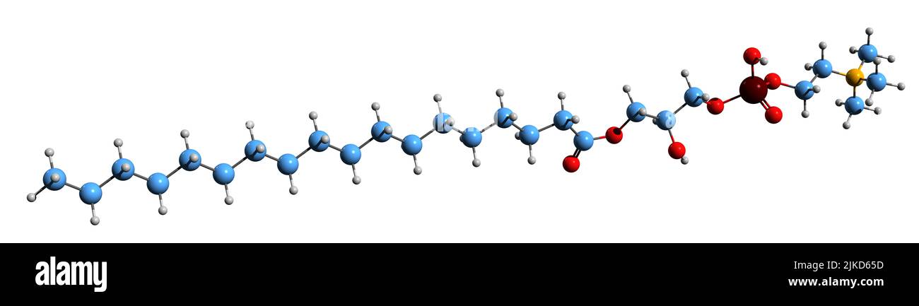3D image of Lysophosphatidylcholine skeletal formula - molecular ...