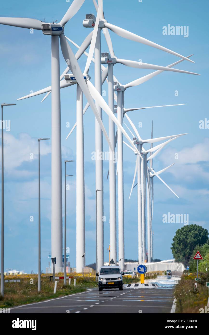 Wind farm on the Nordzeeweg, on a long spit of land between the Maas ...