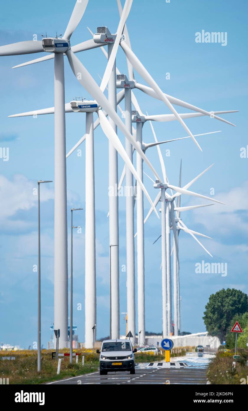 Wind farm on the Nordzeeweg, on a long spit of land between the Maas ...