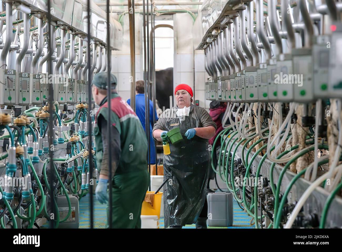 Milking machine woman hi-res stock photography and images - Alamy