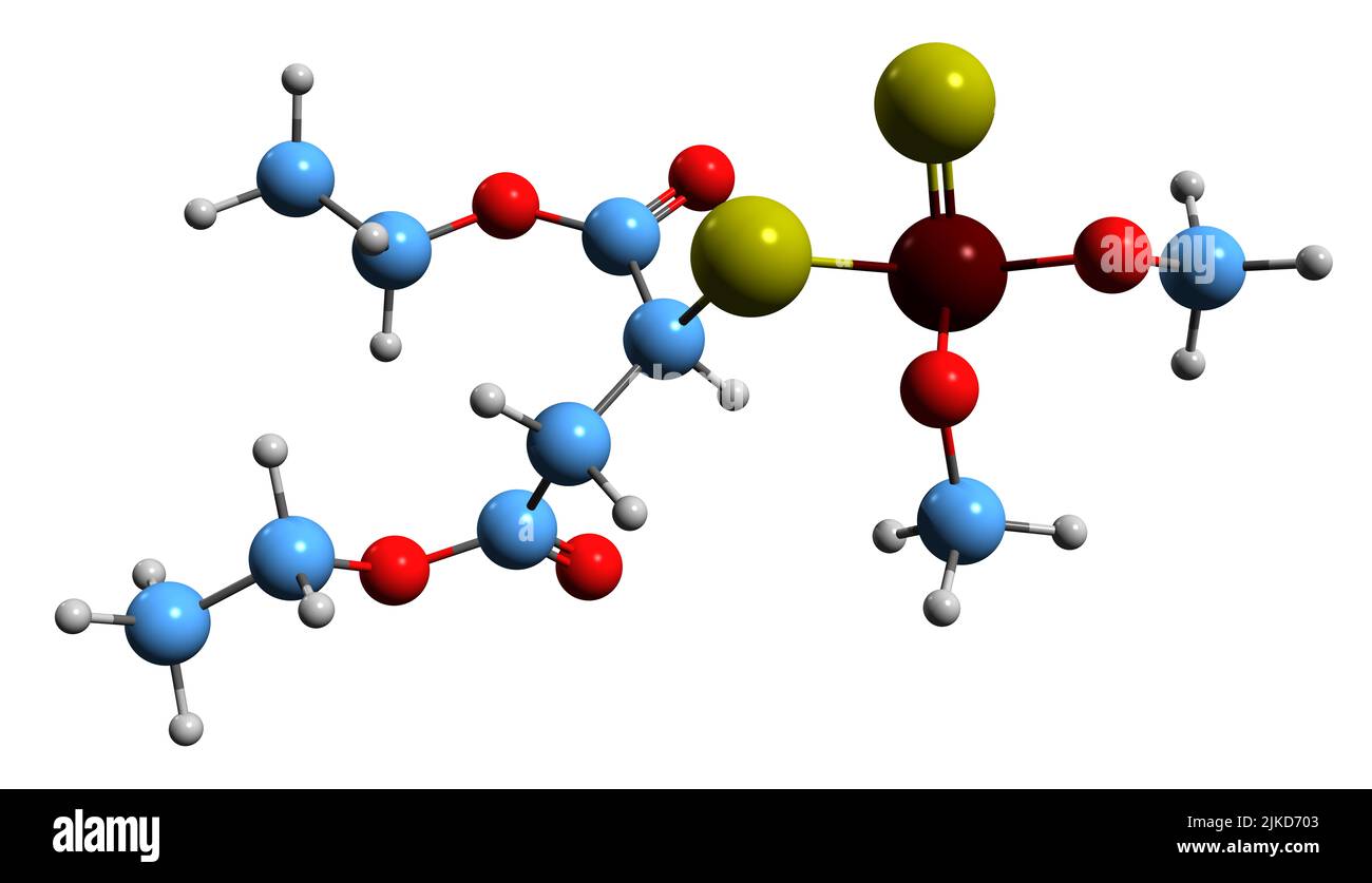 3D image of Malathion skeletal formula - molecular chemical structure ...