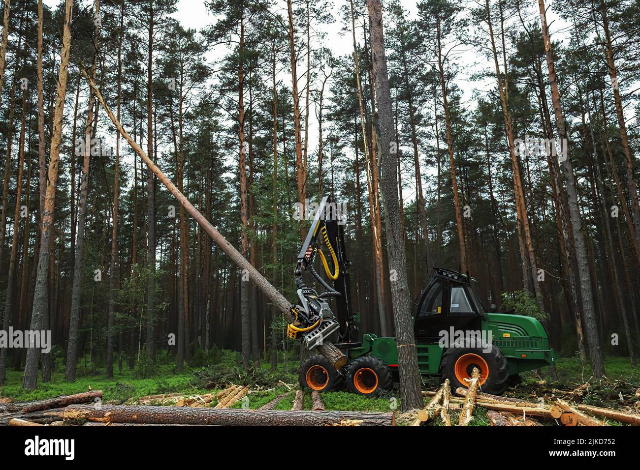 professional deforestation with special equipment Stock Photo - Alamy