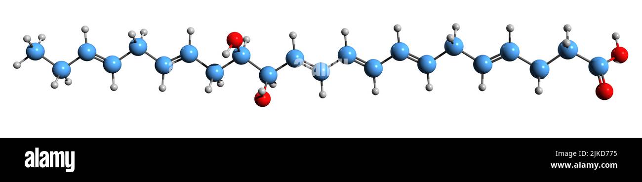 3D image of Maresin 2 skeletal formula - molecular chemical structure ...