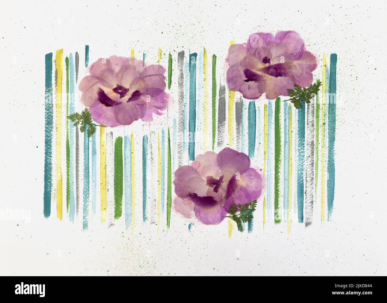 Modern botanical pressed flower art. Pressed floristry Oshibana in the ...