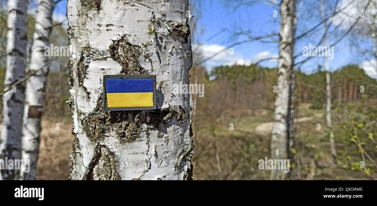 Victory state forest hi-res stock photography and images - Alamy