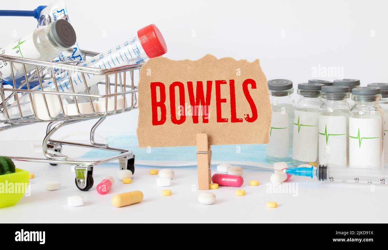 bowel word in a dictionary. bowel concept Stock Photo - Alamy