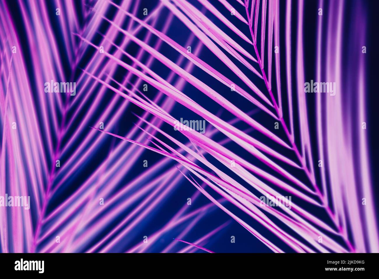 tropical neon flora art pink vibrant design Stock Photo - Alamy