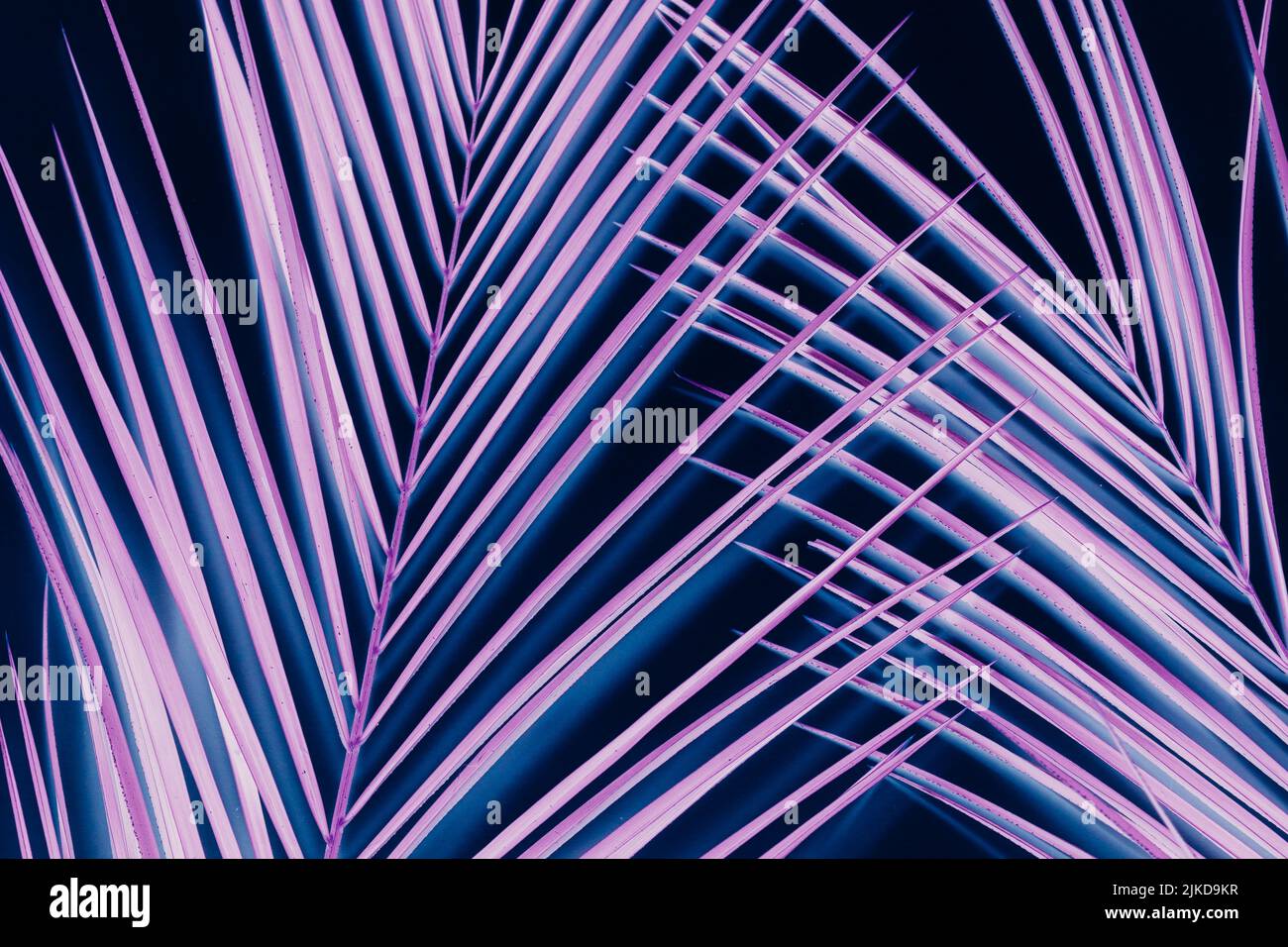 surreal neon flora palm leaves seamless pattern Stock Photo - Alamy