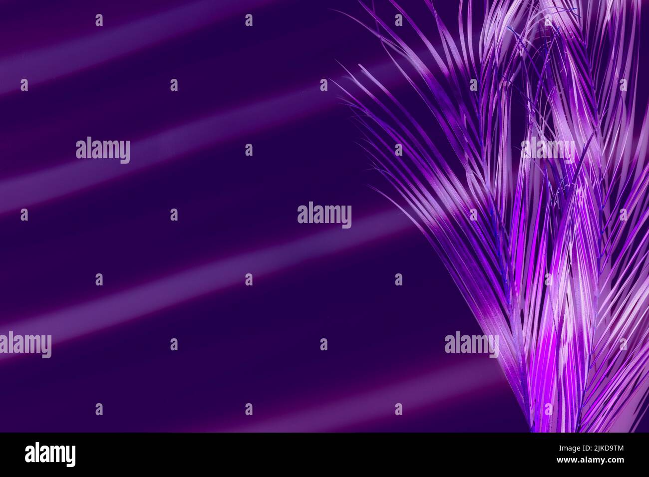 Neon purple abstract background hi-res stock photography and images - Alamy