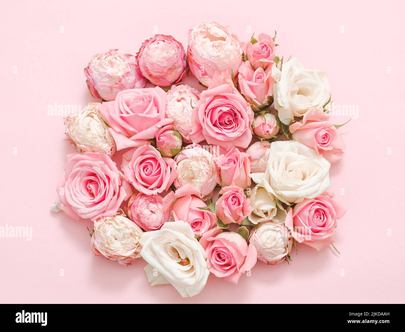 flower present delivery pink rose circle collage Stock Photo - Alamy