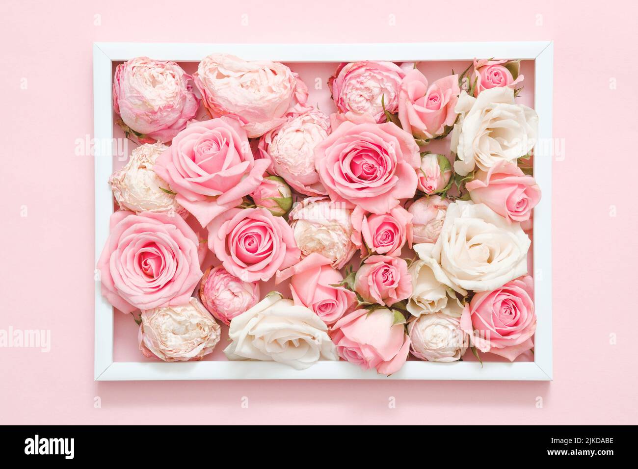 flower composition assorted rose white frame Stock Photo - Alamy