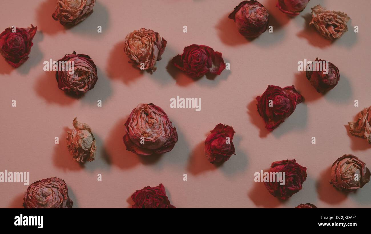 Random assortment hi-res stock photography and images - Alamy