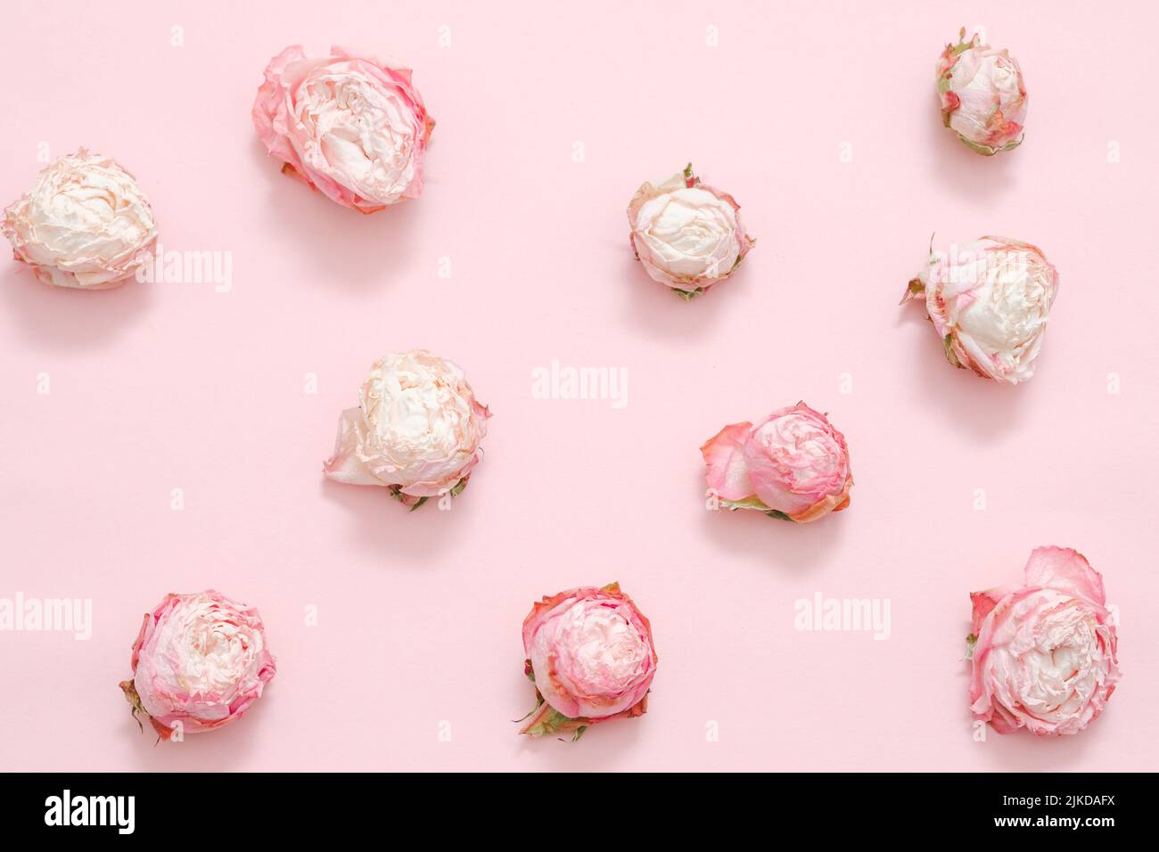 Rose heads hi-res stock photography and images - Alamy