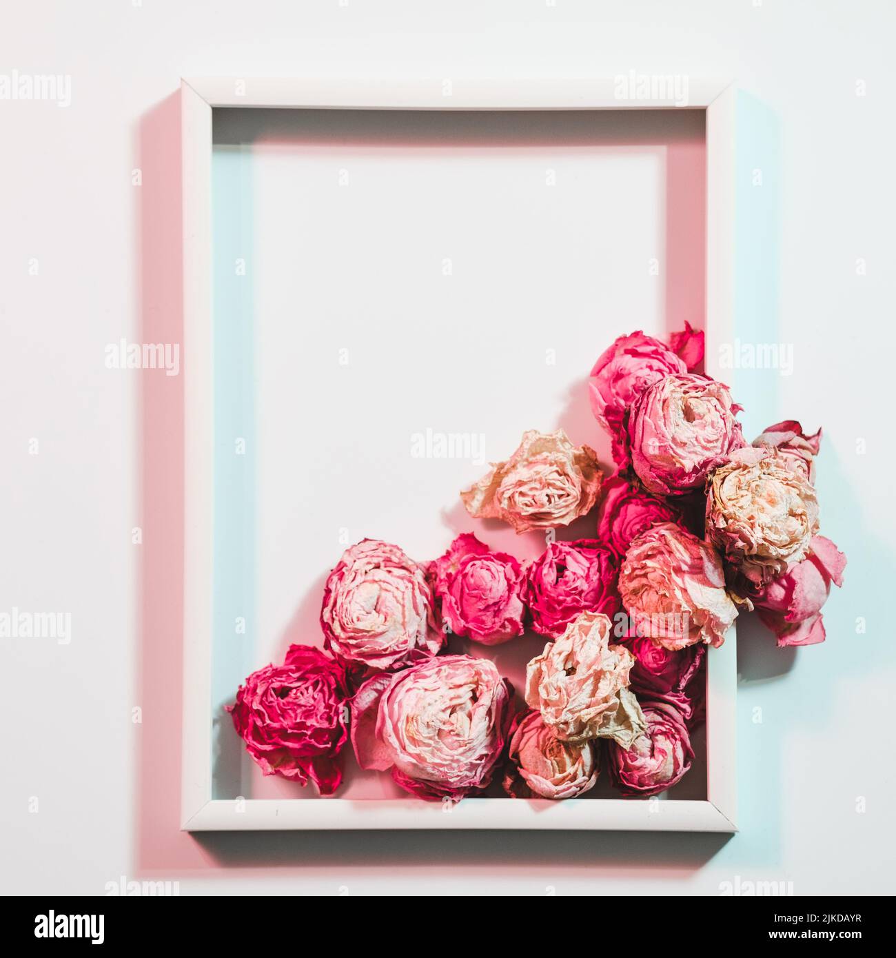 Dried flower and frame hi-res stock photography and images - Alamy