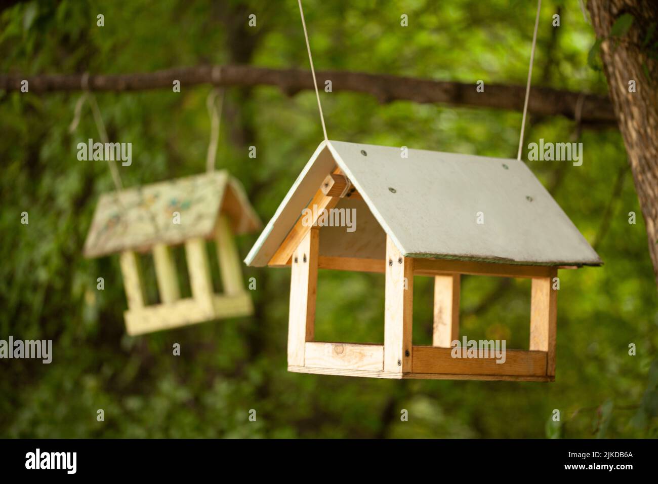 Birdhouses and bird feeder in the forest on a blurry background of ...
