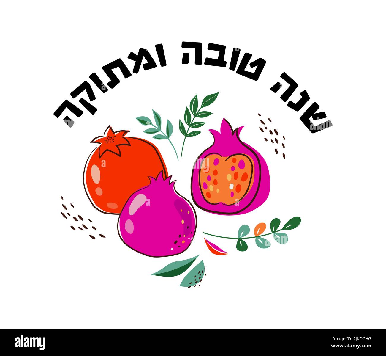 Pomegranate tree branches Stock Vector Images - Alamy