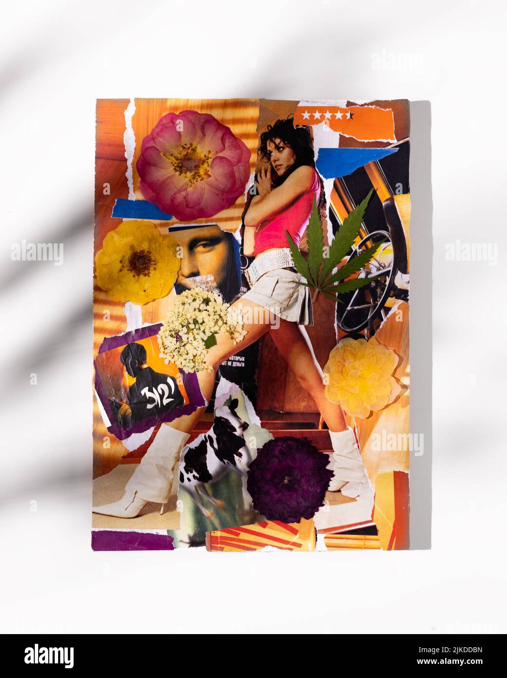 Contemporary botanical pressed flower art. Pressed floristry Oshibana ...