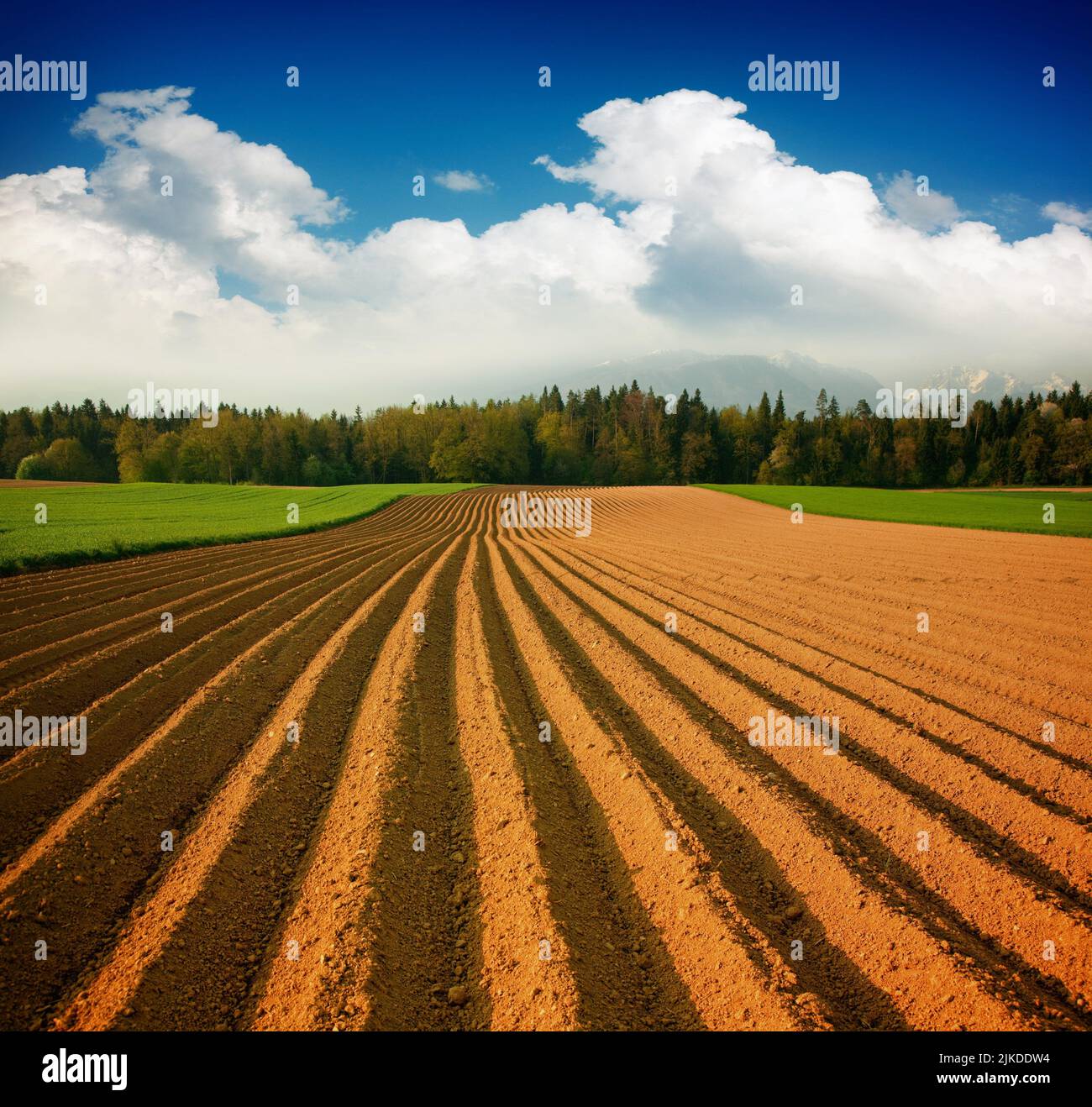 Tillage plough hi-res stock photography and images - Alamy