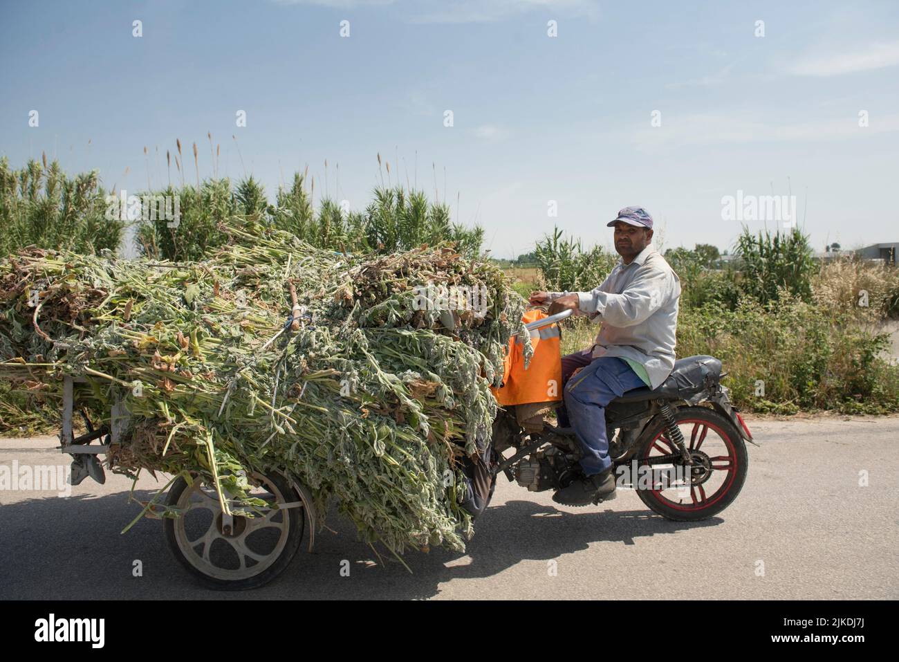 Driving a tricycle hi-res stock photography and images - Alamy