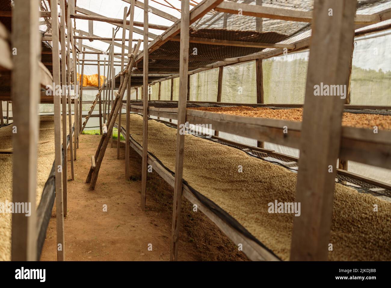 Solar drying hi-res stock photography and images - Alamy