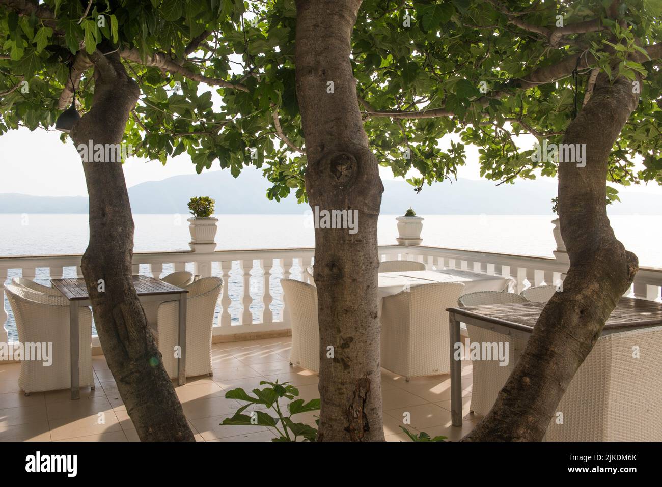 Shaded by fig trees hi-res stock photography and images - Alamy