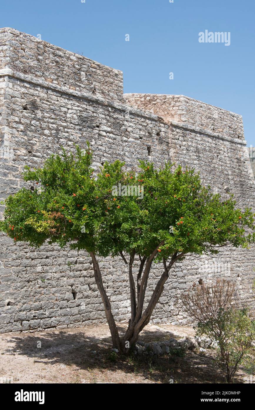 Ali pasha fortress hi-res stock photography and images - Alamy