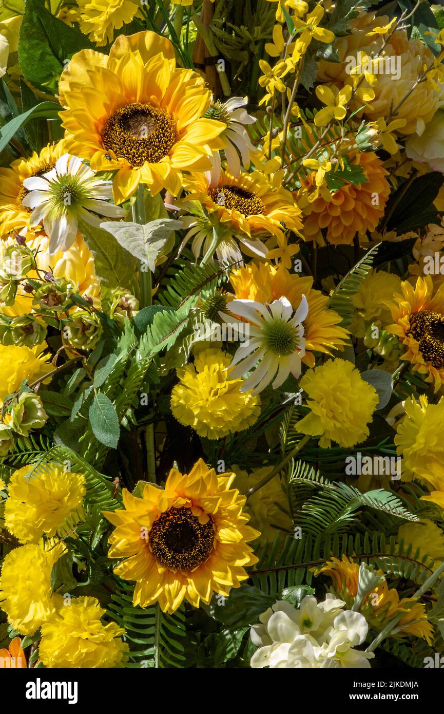 colourful bright yellow sunflowers in a large floral display, yellow ...