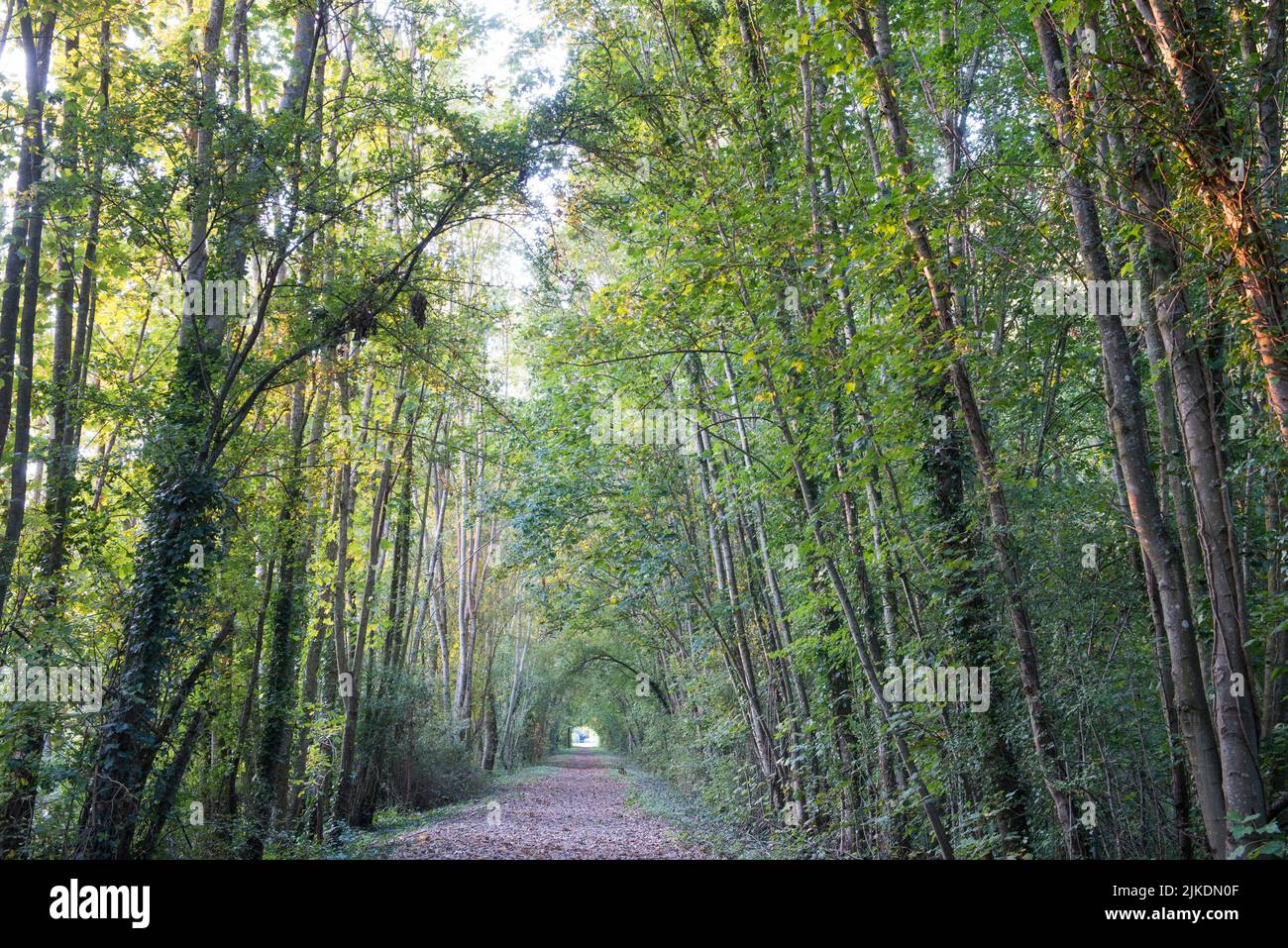 Old french railway hi-res stock photography and images - Alamy