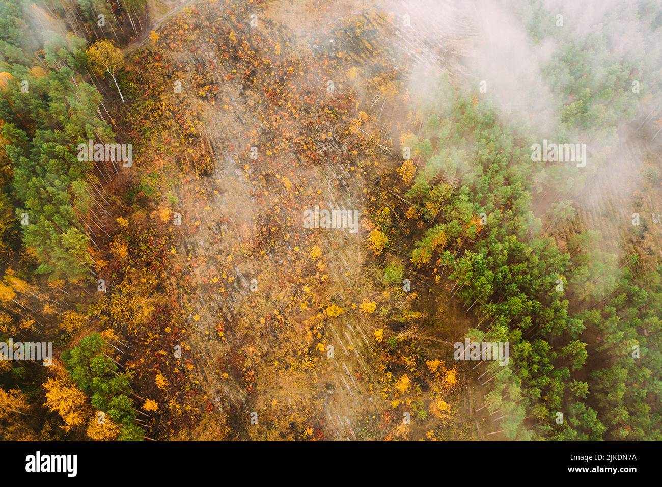 Rainforest deforestation aerial view hi-res stock photography and ...
