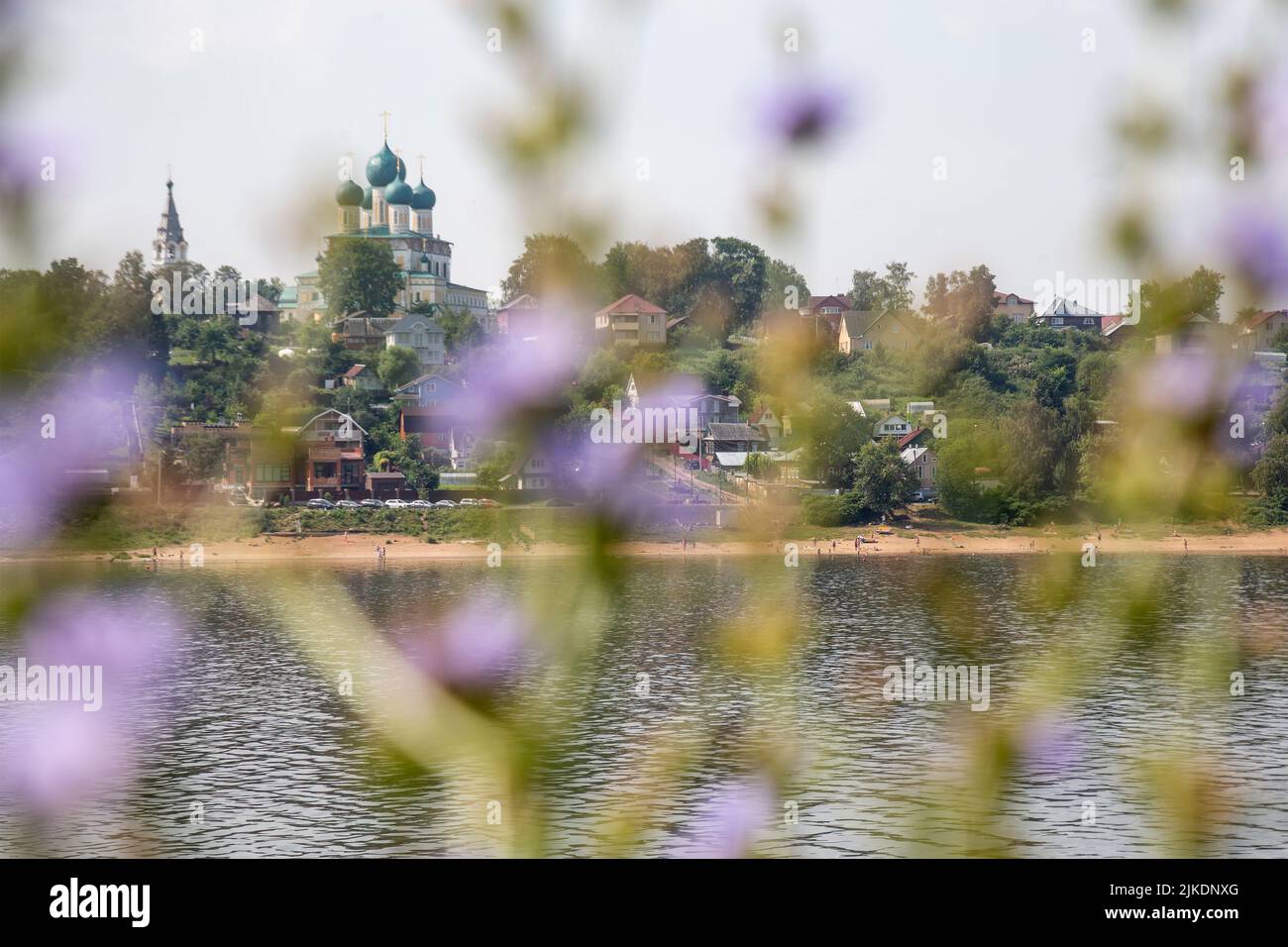 Volga flowers hi-res stock photography and images - Alamy