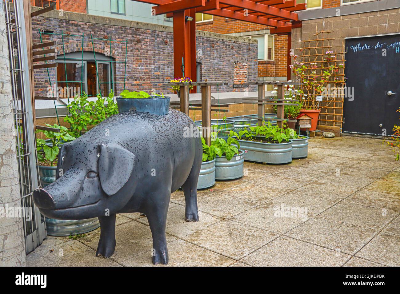 Pig market hi-res stock photography and images - Alamy