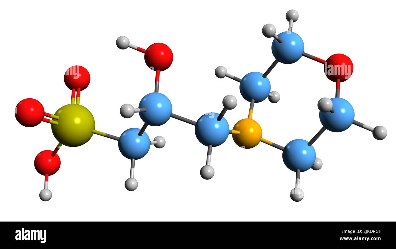 3D image of MOPSO skeletal formula - molecular chemical structure of ...