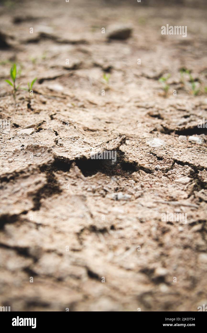 Dried desert land. Cracks in the ground. Dehydrated soil. Deep cracks ...