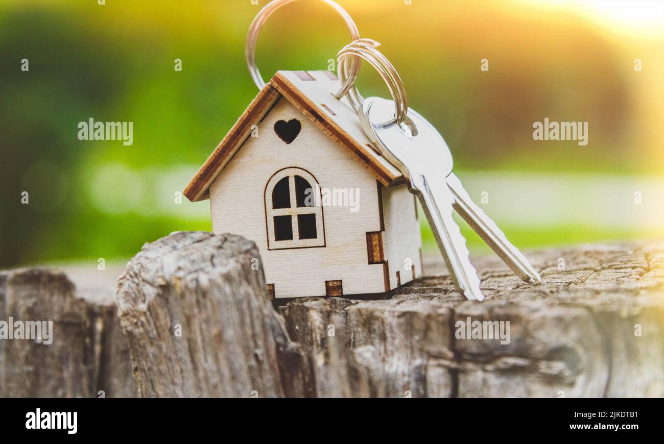 Vacation home. Construction of wooden houses. Environmentally friendly ...