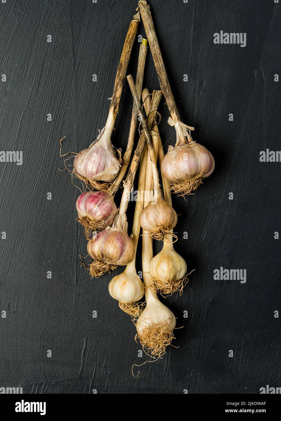 Garlic bulbs with stems Stock Photo - Alamy