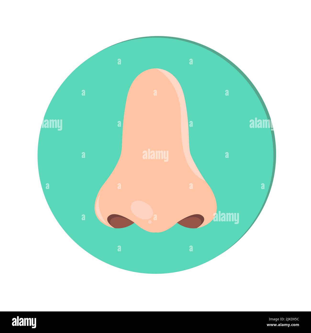 Flat Human Nose Nostril Icon Isolated Cartoon Illustration Stock Vector ...