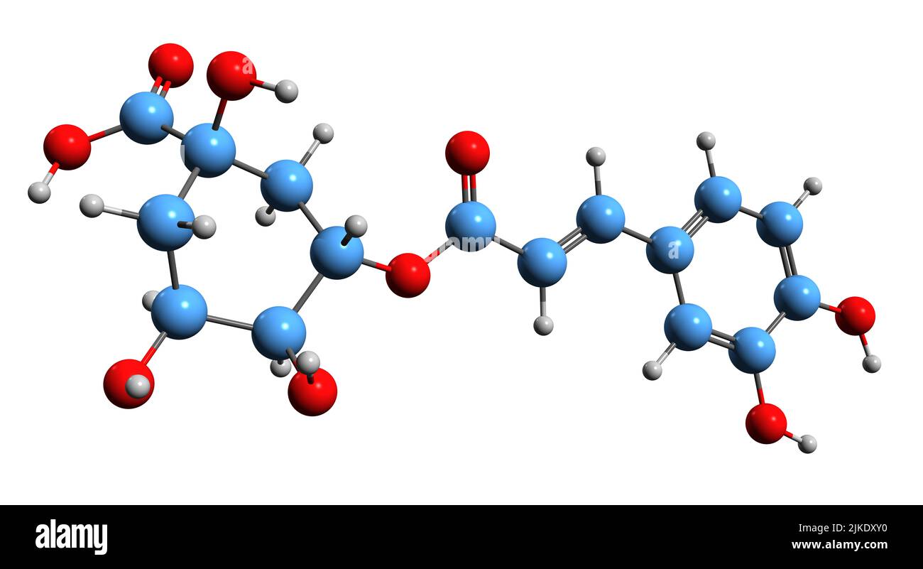 3D image of Neochlorogenic acid skeletal formula - molecular chemical ...