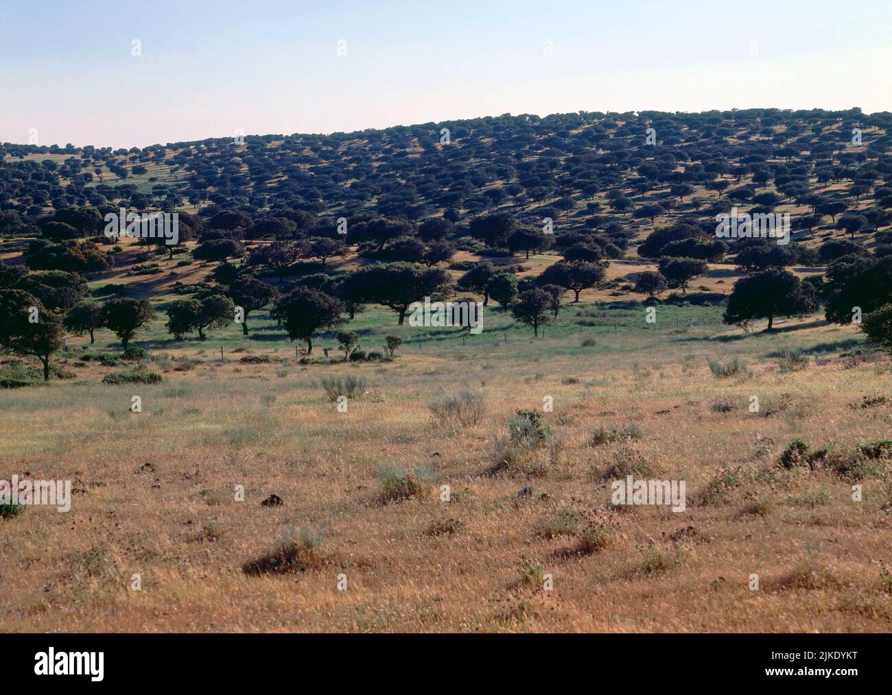 Caceres spain mirabel hi-res stock photography and images - Alamy