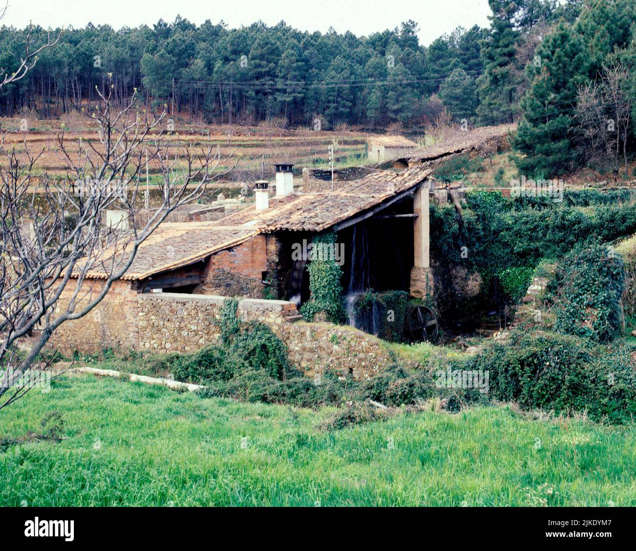 Torre noria hi-res stock photography and images - Alamy