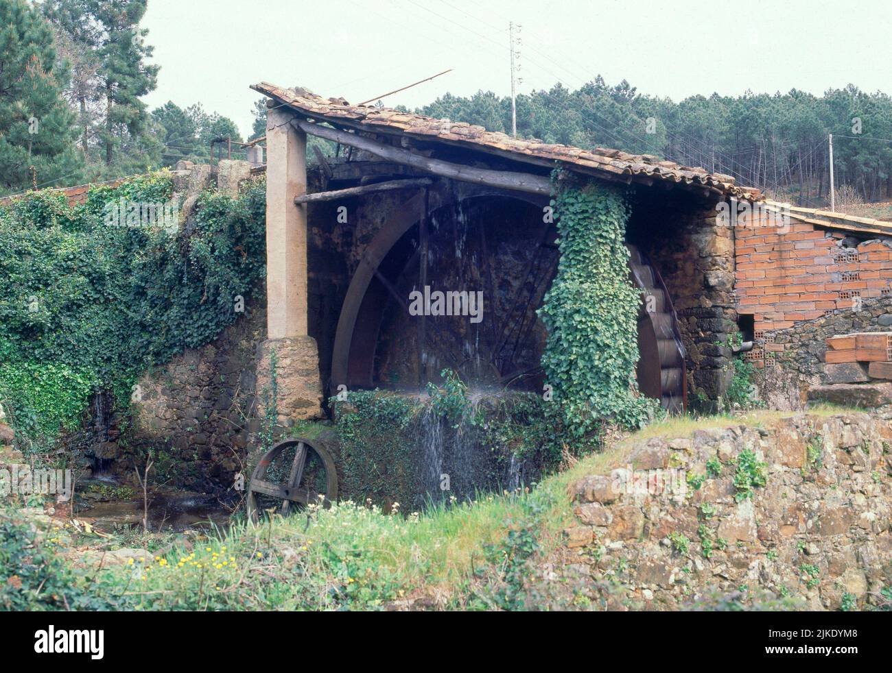 Torre noria hi-res stock photography and images - Alamy