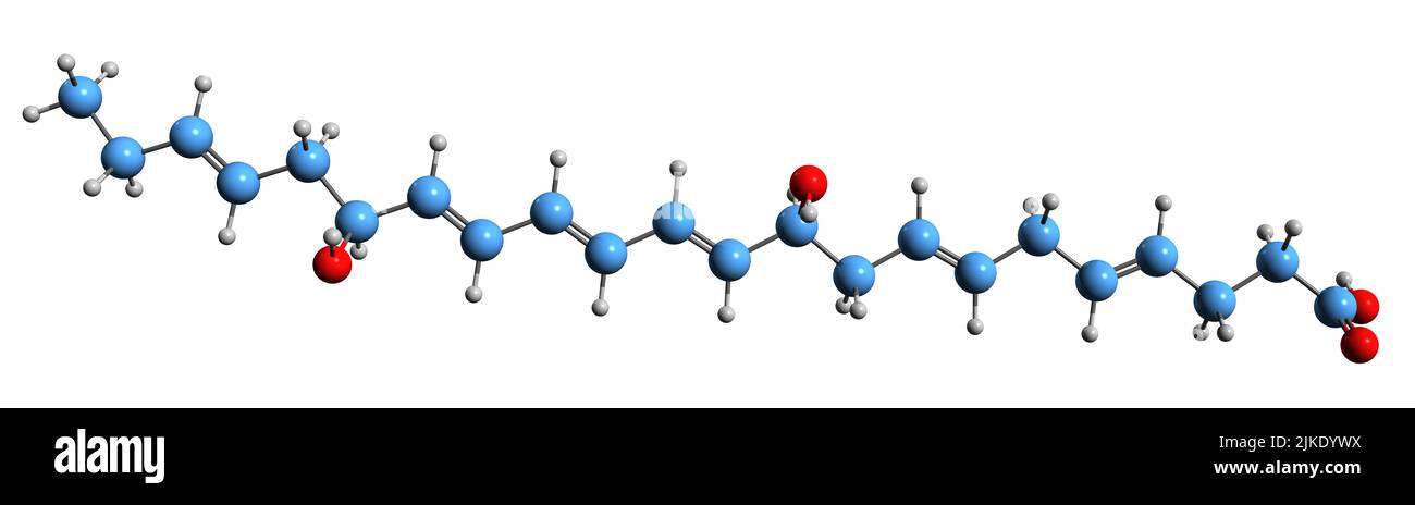 3D image of Neuroprotectin D1 skeletal formula - molecular chemical ...