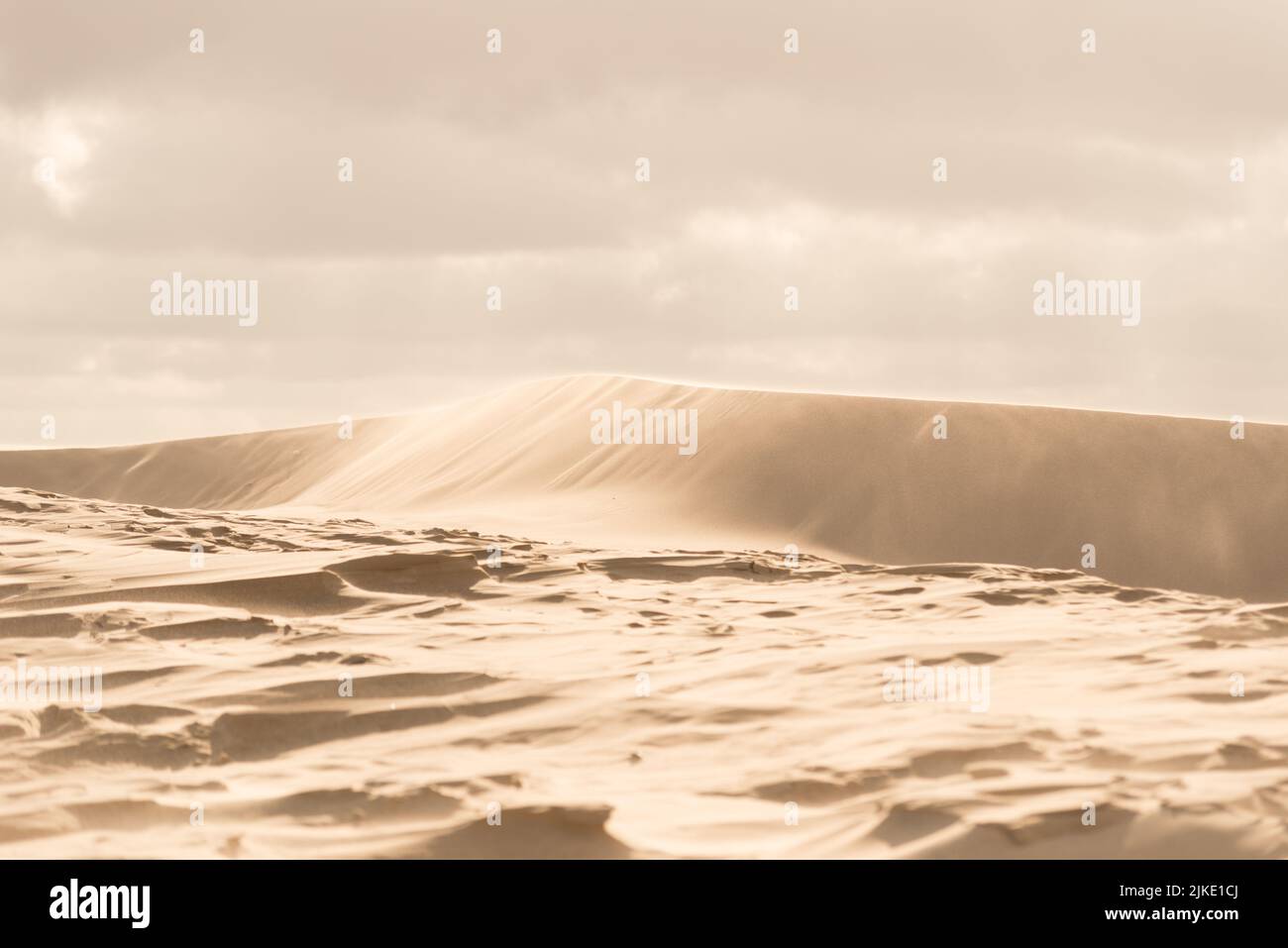 Fine lines of nature hi-res stock photography and images - Alamy