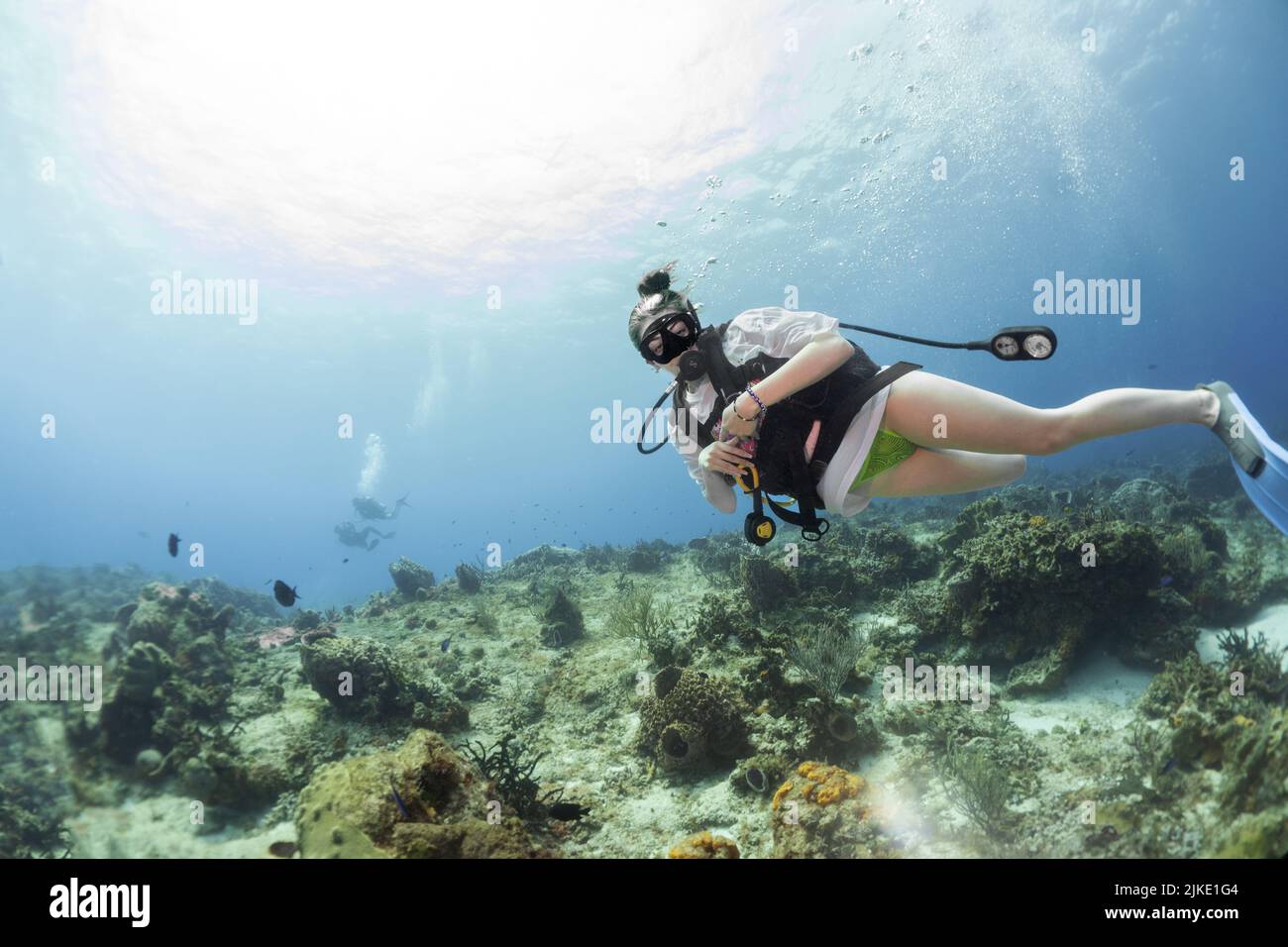 Species divers hi-res stock photography and images - Alamy