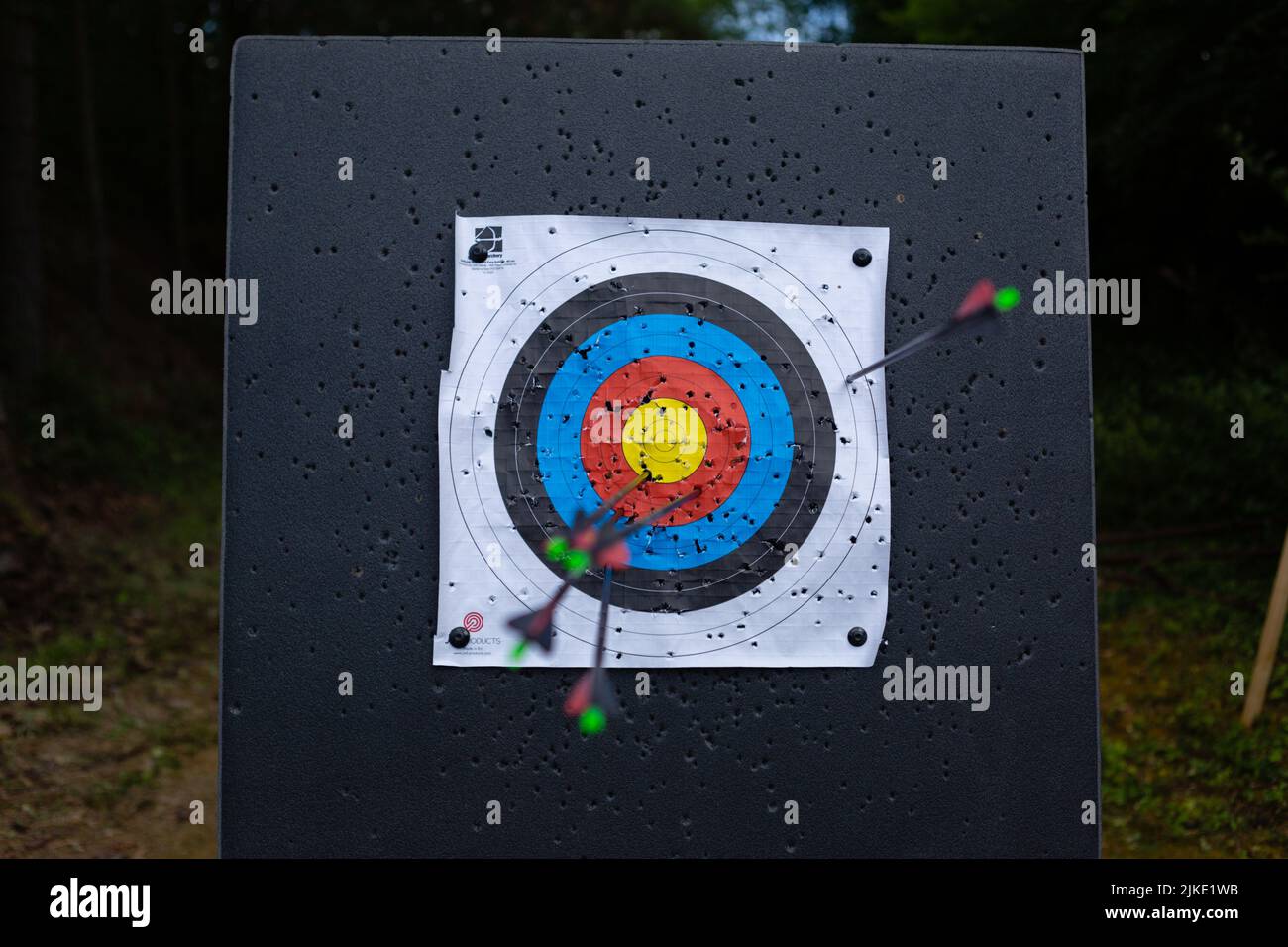 Target with many holes with arrows sticking out of it Stock Photo - Alamy